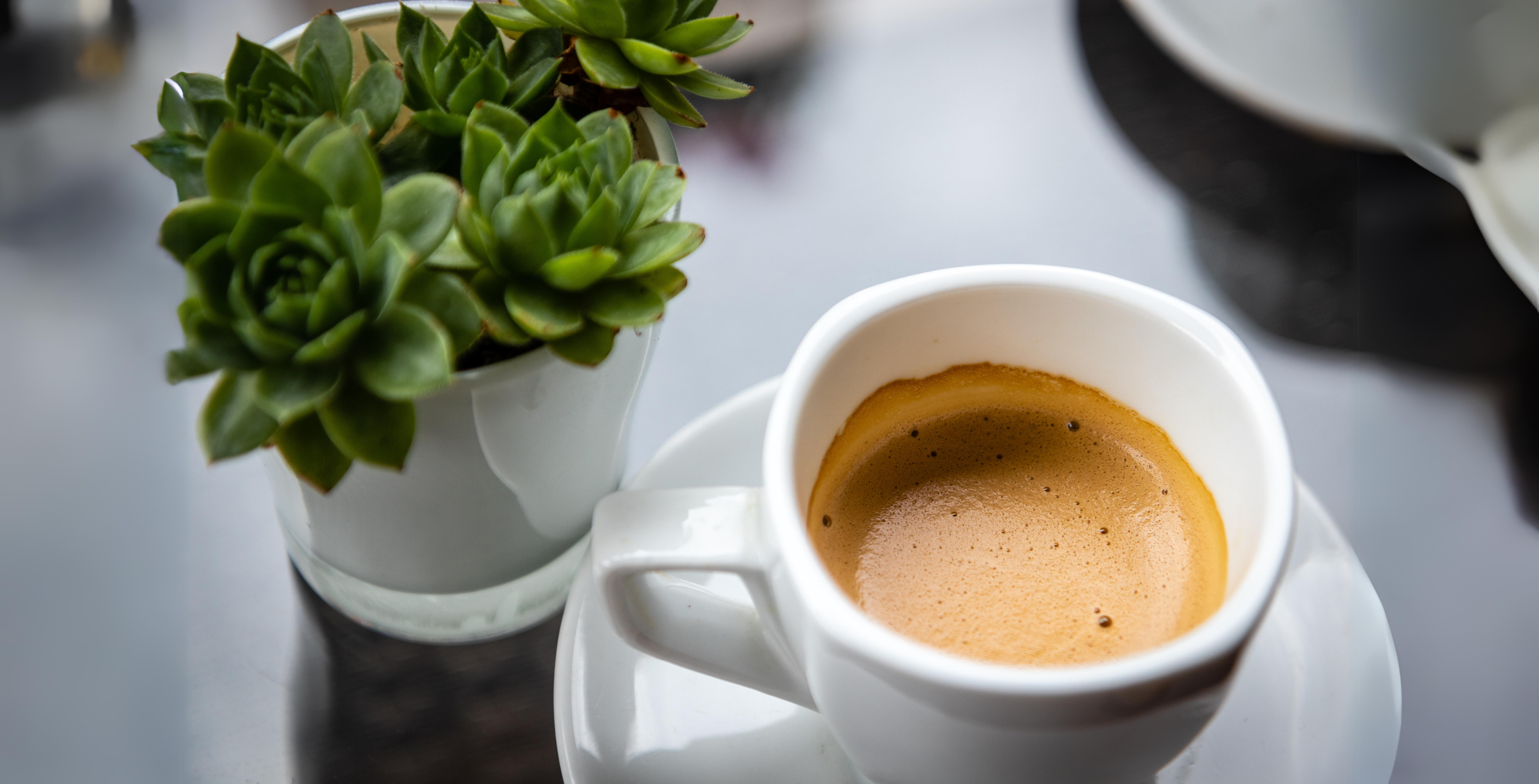 Morning Routine Collection | Moissu SknCare